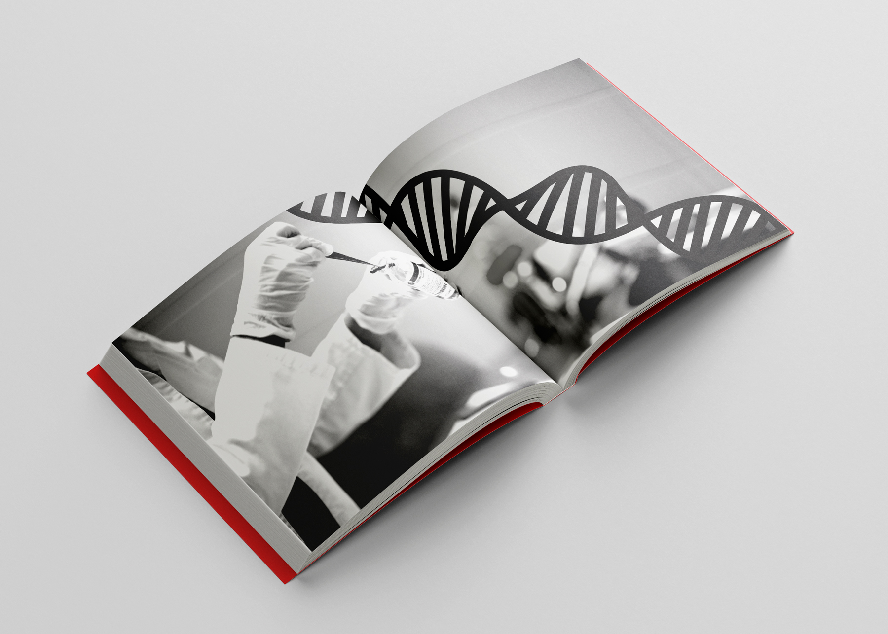 Design of the “Official History of University Clinical Hospital Mostar ...